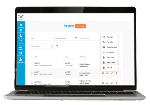 Website & Web App Development Services | Techlify, Guyana